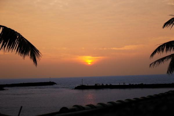 Sunset View Inn-hikkaduwa - Hikkaduwa