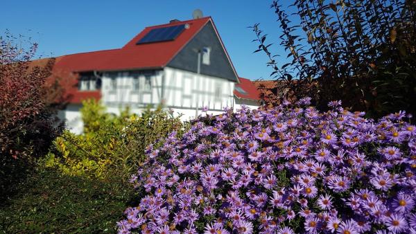Lohbachhof - Bad Emstal