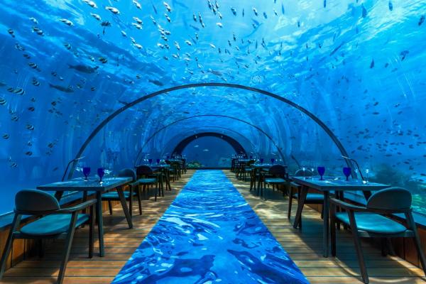 Hurawalhi Island Resort - Maldives