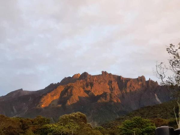 Grace Mt Kinabalu Homestay - Kundasang