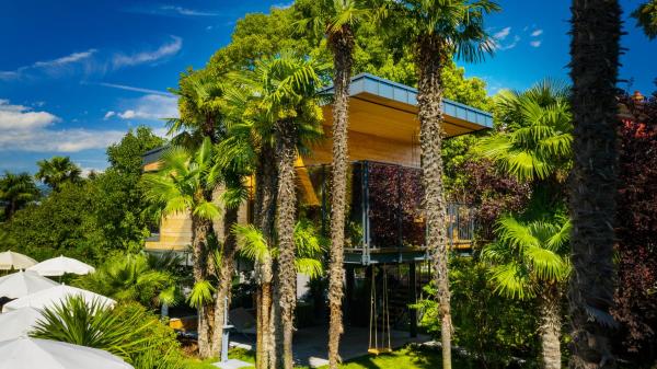 Treelodgy, The Tree House - Lake Garda