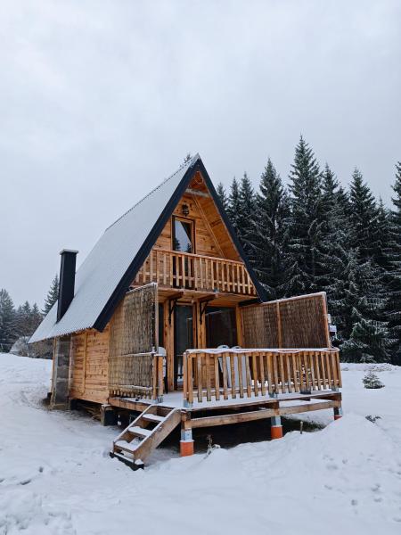 Brvnara Panda Tara - Serbia