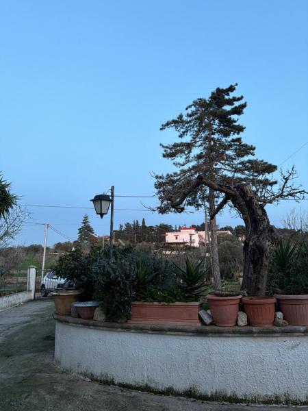 J&v Country - Castellana Grotte