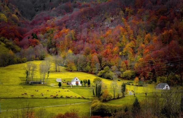 Gîte Les Alberts - L'estagnol Au Cœur De La Montagne - 3étoiles - 35m2 - Arrens-Marsous