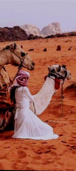 Wadi Rum Sand Moon Camp &Tour - Jordanie