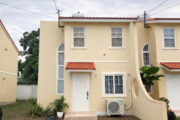 Jacar Purple Blossom - Jamaica