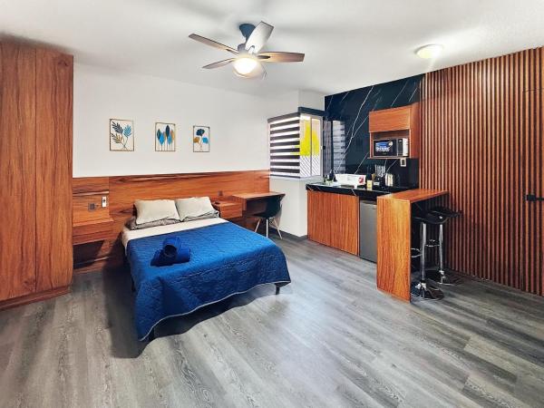 Modern & Private Loft In Morales, Slp, 1 Bedroom - San Luis Potosí