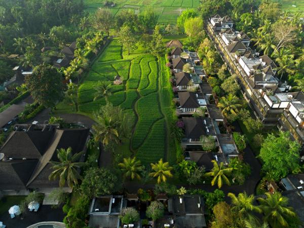 Visesa Ubud Villa - Ubud