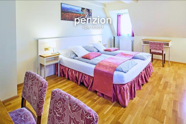 Hostel Lípa - Továrna - Czech Republic