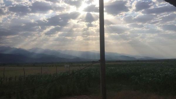 Morning Glow Lodge - Georgia