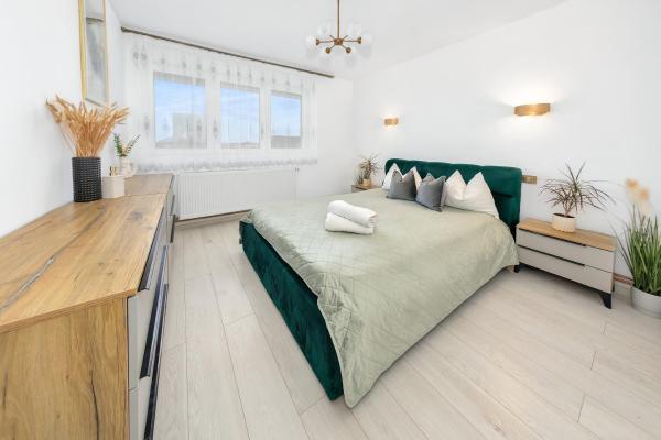 The Performant - Satu Mare