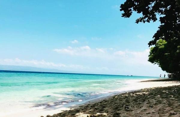 Gardonia Native Resort - Moalboal