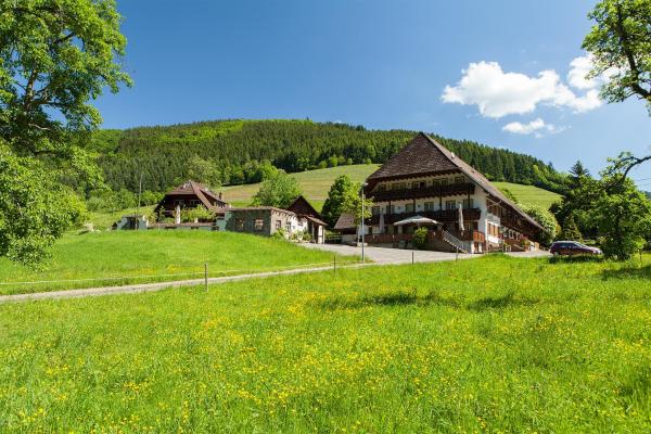 Landgasthaus Grüner Baum - Titisee-Neustadt