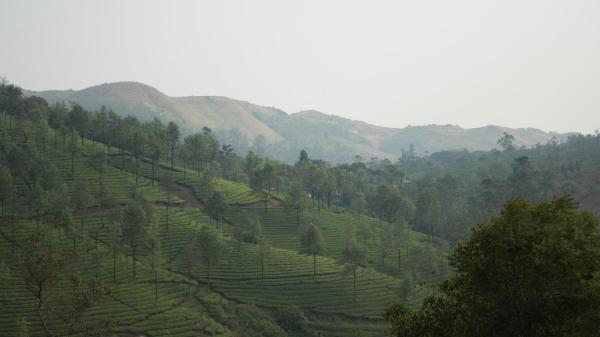 Golden Hillview Homestays - Kuttikkanam
