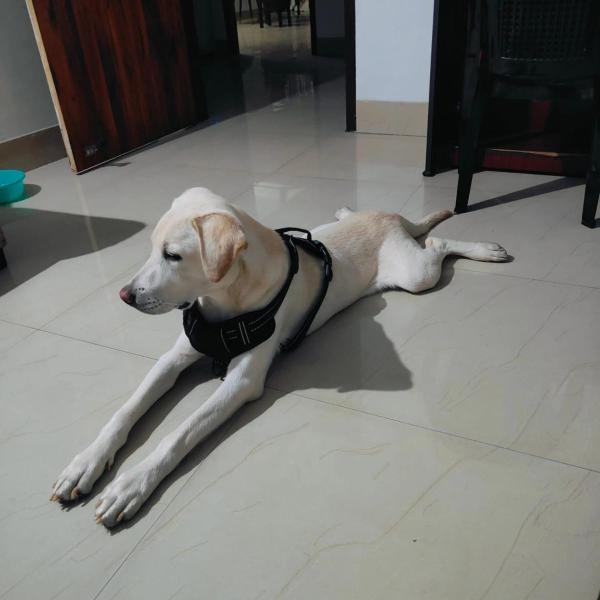 Home Stay - Guwahati