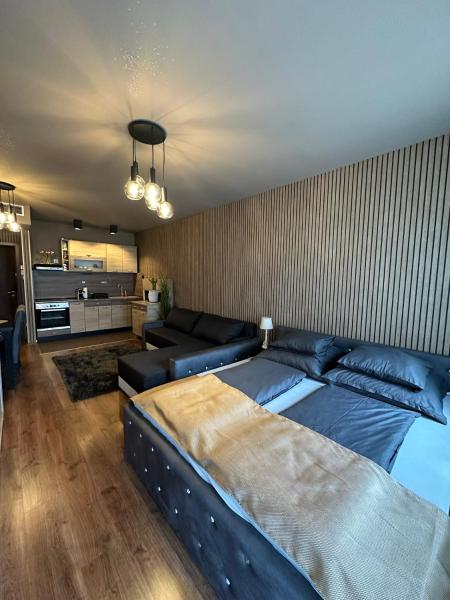 City Central Vip Apartmant With Free Private Parking - Debrecen