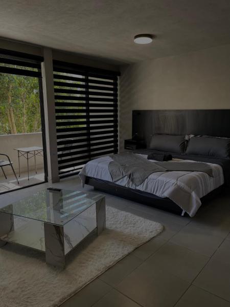 #1 Loft Con Balcón - León, México