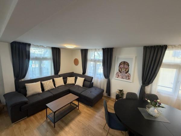 Premium Family Apartment By Hotel Basler Tor Lucerne - Lucerne