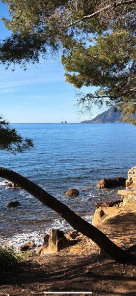 Appartement Bord De Mer Au Calme - Saint-Mandrier-sur-Mer