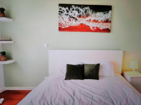 Bonito E Muito Confortável - Funchal