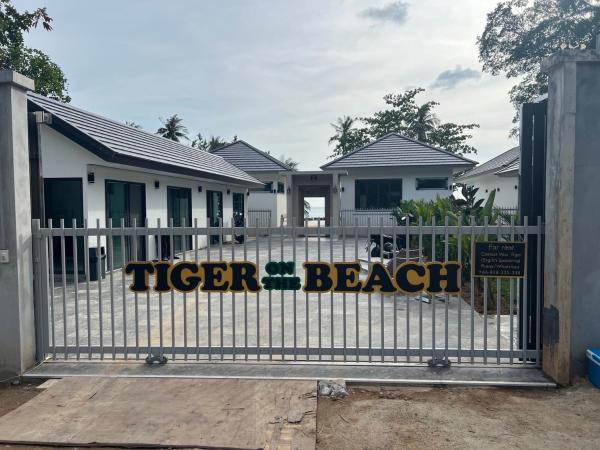 Tiger On The Beach - Ao Nang