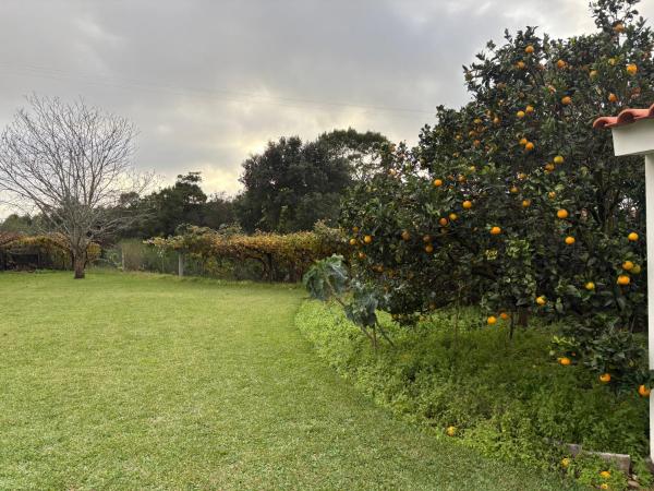 Alma Calorosa Garden Apartment - Abrantes