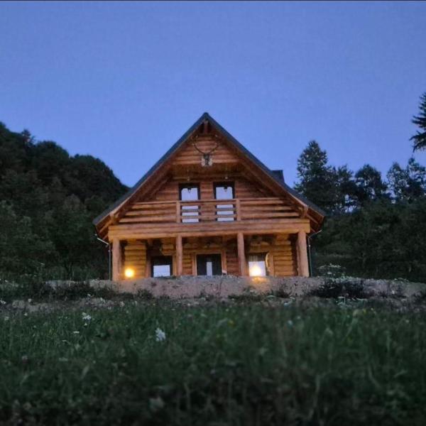 Cabana La Iura - Petrova