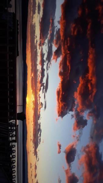 Vesna Studio Apartment - Crikvenica