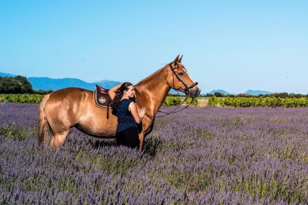 Gîte Du Poney Fringant - Jardin des Herbes - La Garde-Adhémar