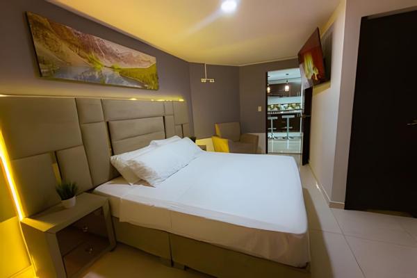 Amplio Y Lujoso Apartasuite En El Centro - Cartago, Colombie