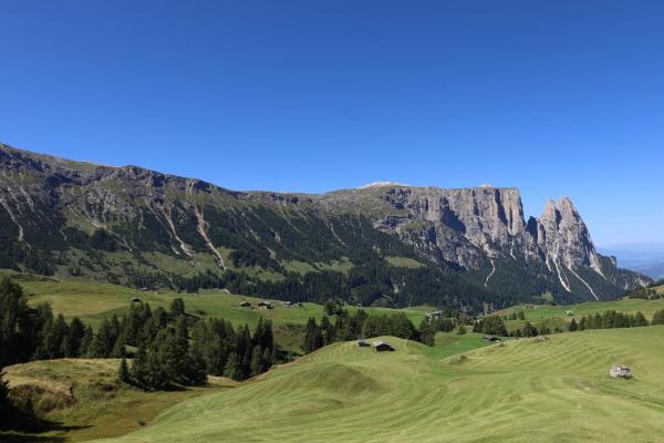 Apartments Silvonia - Val Gardena