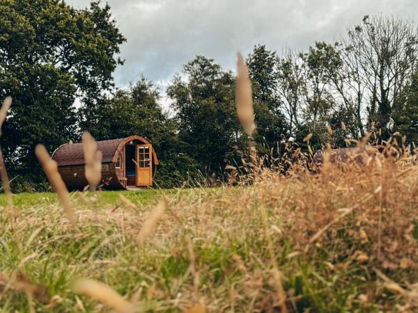 Barrel Cabin 2 - St Austell