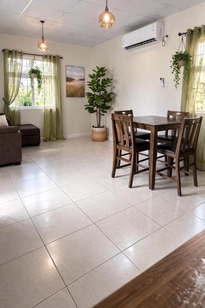 The Colored House - Trinidad and Tobago