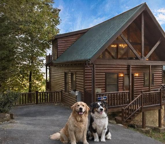 Dog-loving Cabin Theater Room Gorgeous Views - Sevierville, TN