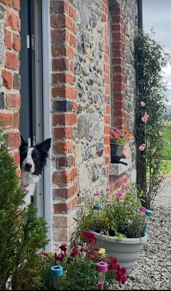 Whitehill Cottage - County Down