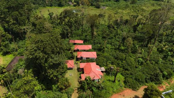 Coffee County - Coorg (Kodagu)