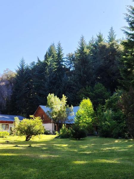 Bosque Hostel - Neuquén
