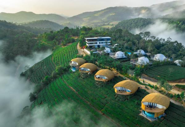 Monticle Glamps - Vagamon