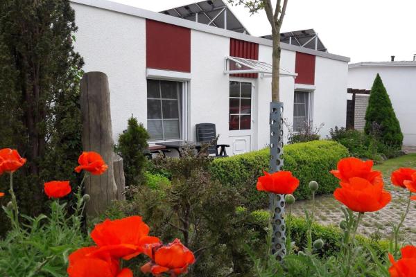 Zwischen Meer Und Bodden App 04 - Ahrenshoop