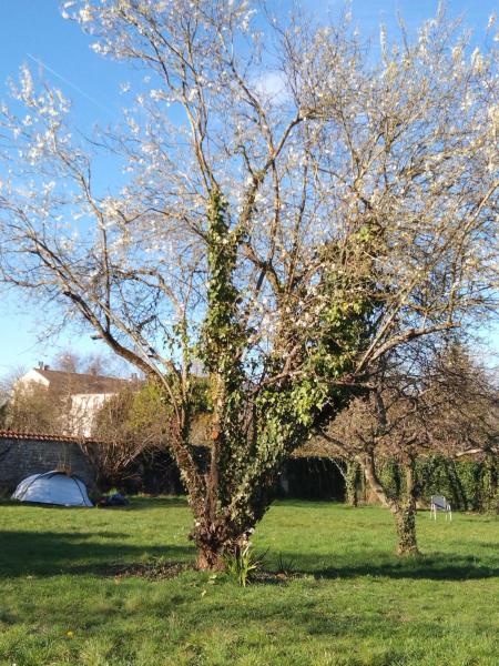 Fontaineblhostel Hostel & Camping Near Fontainebleau - Île-de-France