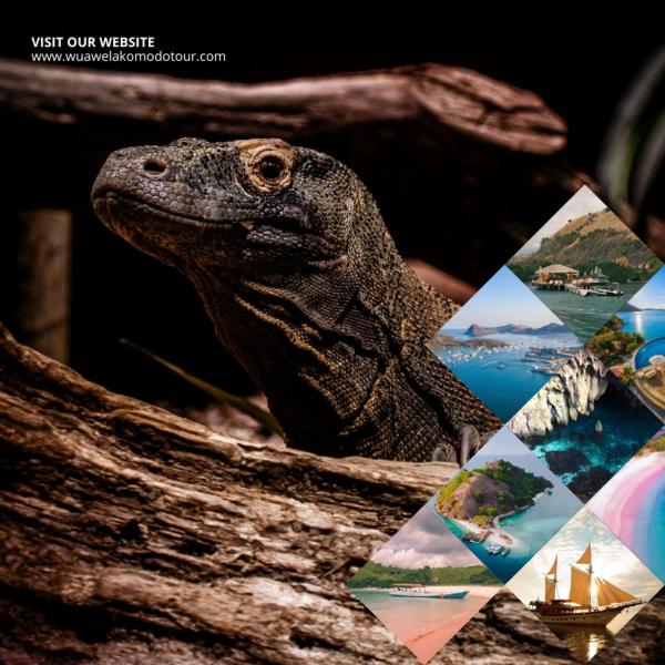 Wuawela Komodo Tour - Labuan Bajo
