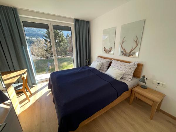 Privatwohnung Am Prielerweg In Hinterstoder - Hinterstoder