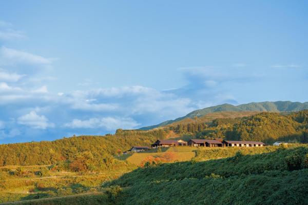 Auberge De Senvie - Kashihara