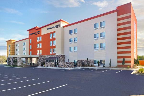 Springhill Suites By Marriott Locust Grove - McDonough, GA