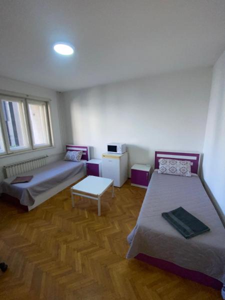Great Room Great Location No Parking - Skopje