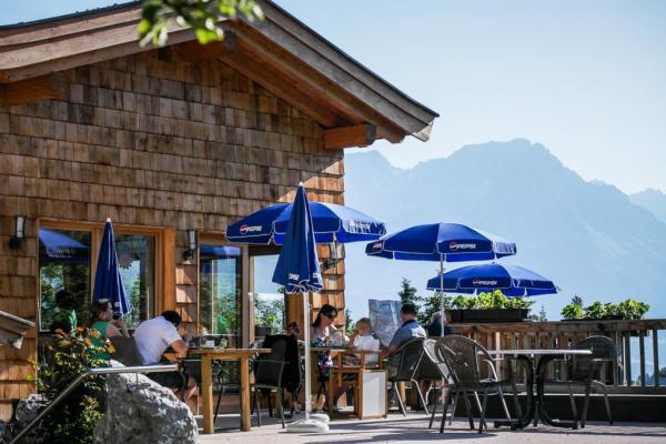 Ferienbauernhof Niedermühlbichler - Wilder Kaiser
