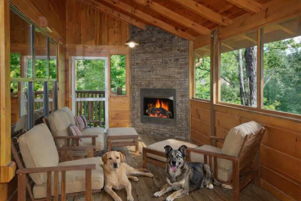 Pets Welcome Theater Room Hot Tub - Gatlinburg, TN