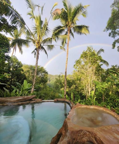 Artsy Cabin Jungle Pool & Unique Car Bath - Bali