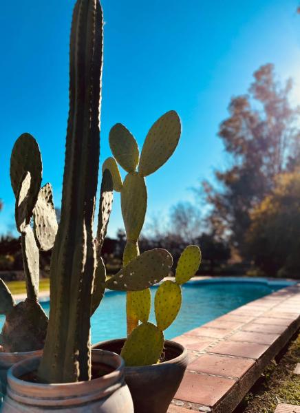 Finca W - Coín - Málaga - Andalucía - Alhaurín el Grande