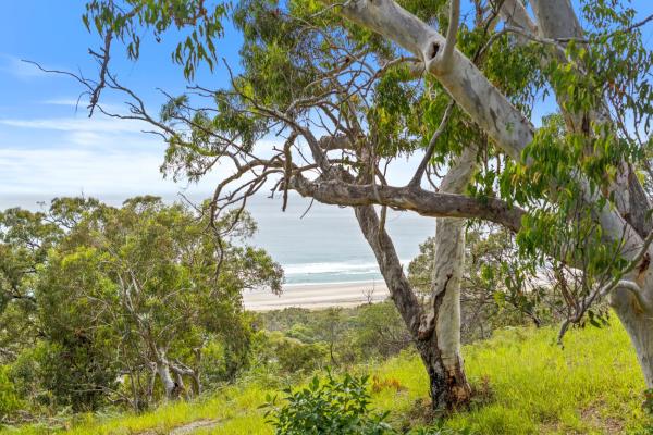 Surf Gums, Sleeps 9, Pet Friendly, Fully Renovated - Point Lookout